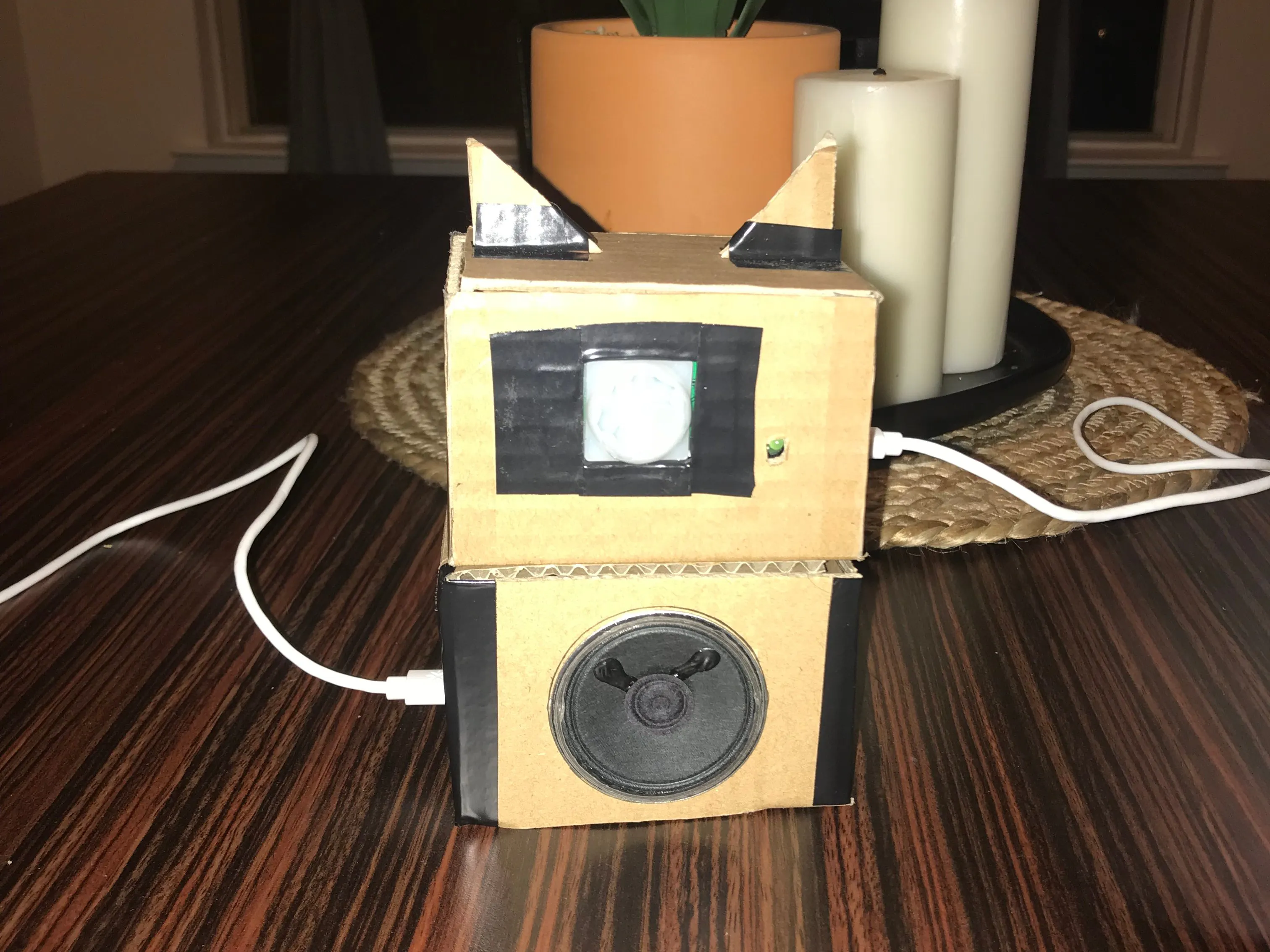 Cat Motion Detection Device - Hackster.io