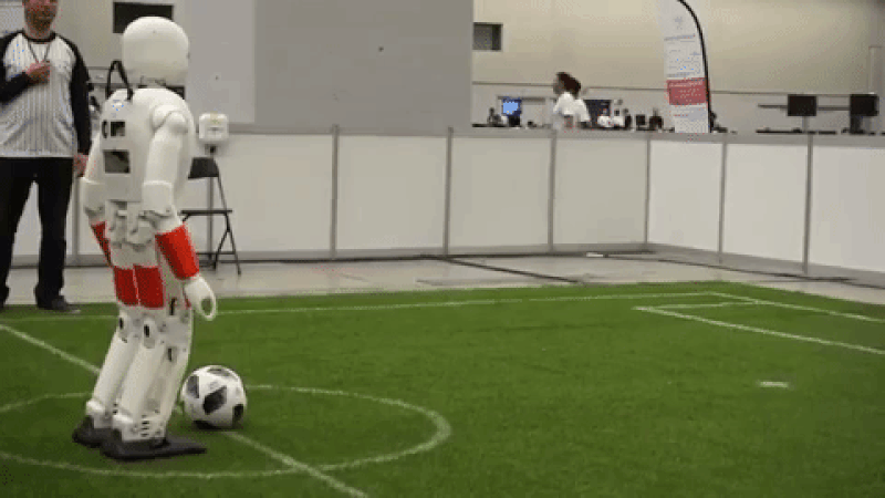 NimbRo-OP2X Is an Adult-Sized, 3D-Printed, Soccer-Playing Robot ...