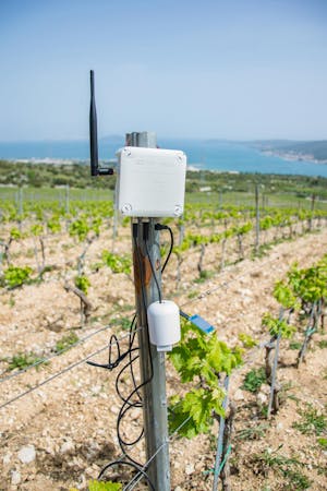 eAgrar Sensor Network Monitors Crops and Weather Conditions for Better ...