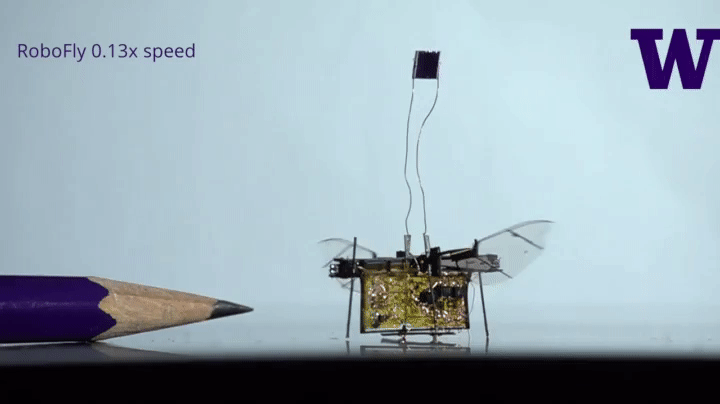 RoboFly Is the First Flying Insect-Size Robot that Can Soar Without a ...
