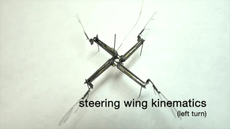 An Extra Pair of Wings Ensures This Robot Insect Can Carry Its Own ...