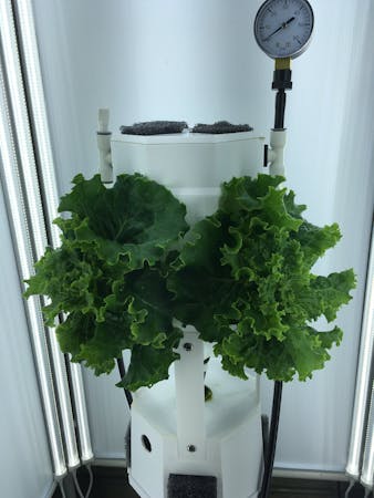 Grow Your Own Vertical Farm in This DIY, Raspberry Pi-Controlled, 3D-Printed Tower - Hackster.io