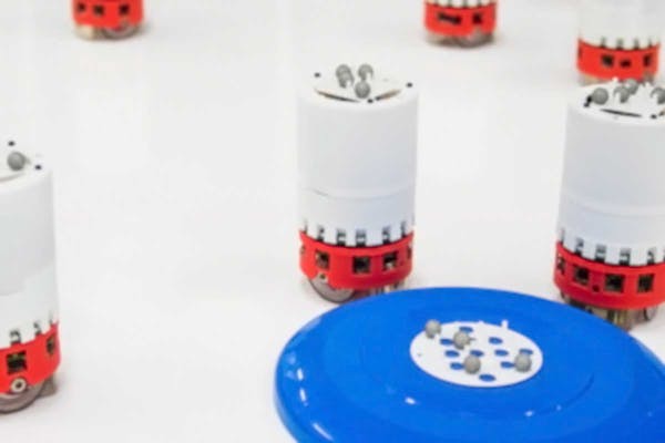 Researchers Design Bio-Inspired Robots That Can Swarm on the Go ...