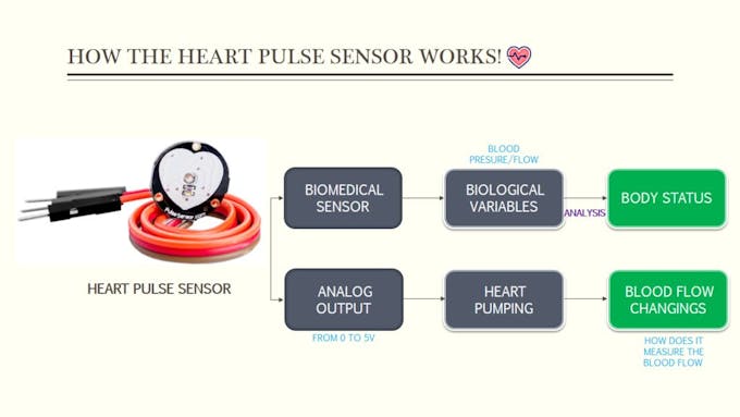 Arduino Heart Beat With Ecg Display And Sound Arduino Project Hub