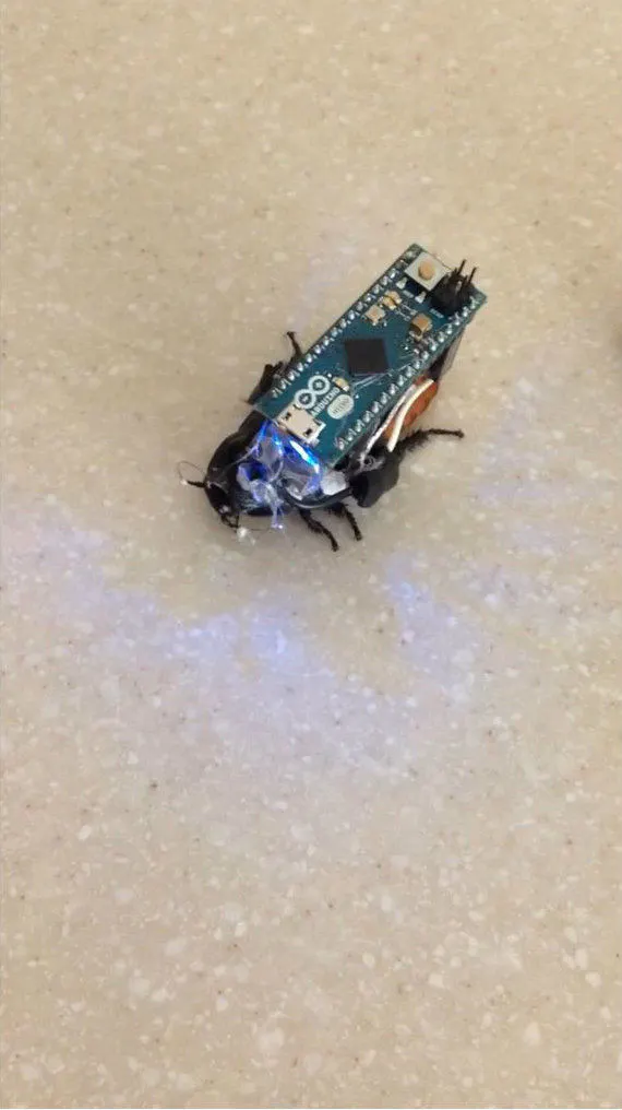 Control a Cockroach with Arduino for under $30 - Hackster.io