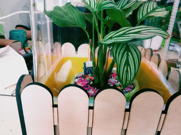 A Plant Box with Lighting and Raining - Hackster.io