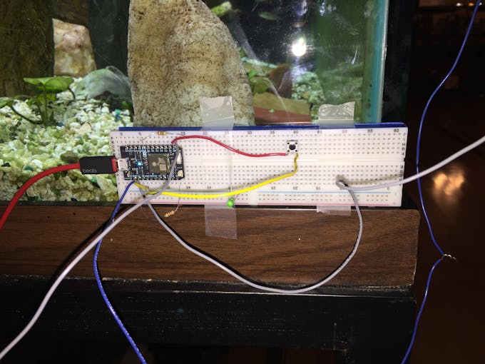 Fishy Feeder - Hackster.io