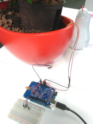 Sigfox Talking Plant Arduino Project Hub